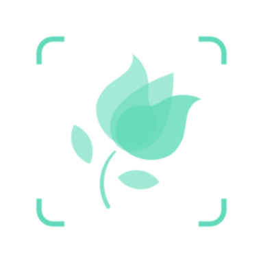 PictureThis - Plant Identifier 1.34 APK Download by Glority Global ...