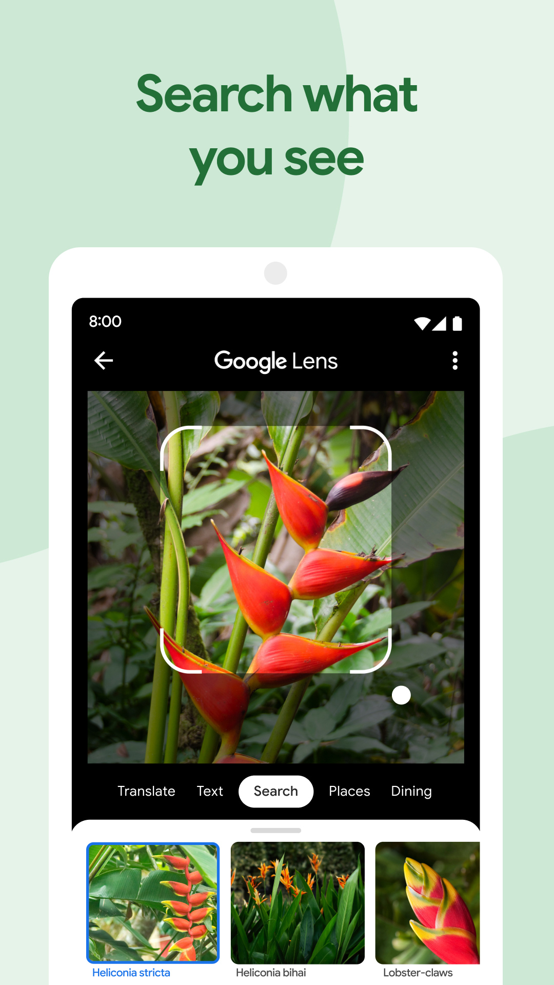 Google Photos 7.12.0.716322378 APK Download by Google LLC - APKMirror