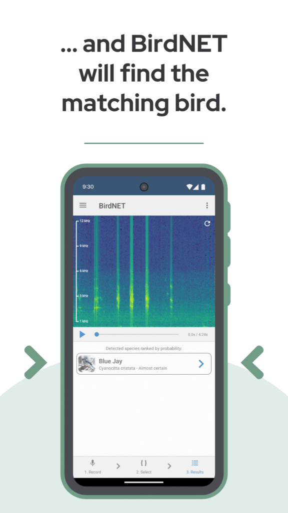 Download BirdNET: Bird sound identification APKs for Android - APKMirror
