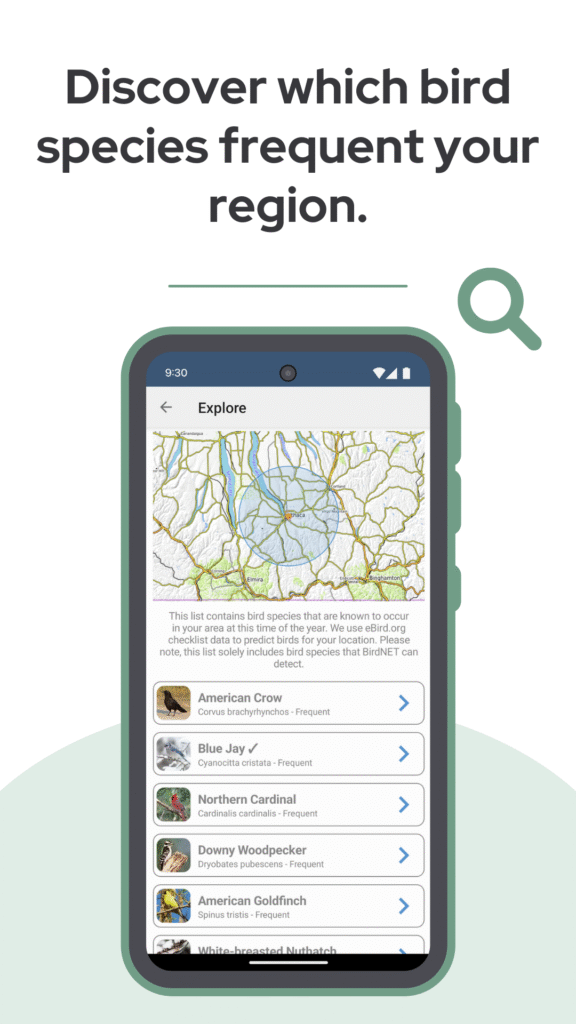 Download BirdNET: Bird sound identification APKs for Android - APKMirror