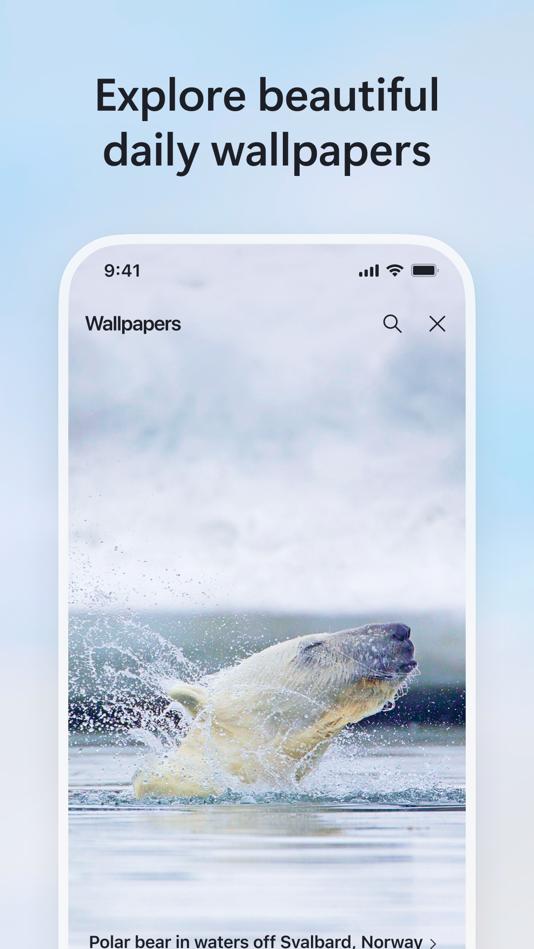 Microsoft Bing Search 32.5.431103003 (x86) (nodpi) (Android 9.0+) APK Download by Microsoft ...