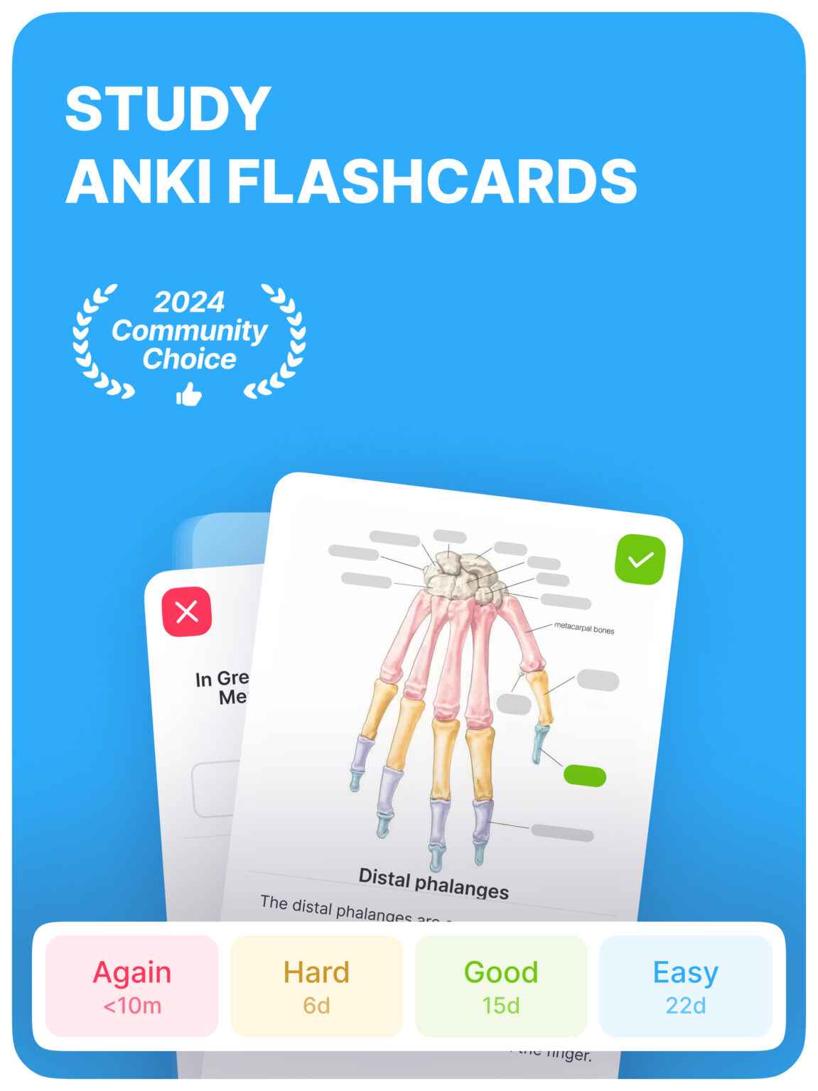Download Anki Pro: Flashcards Learning APKs for Android - APKMirror