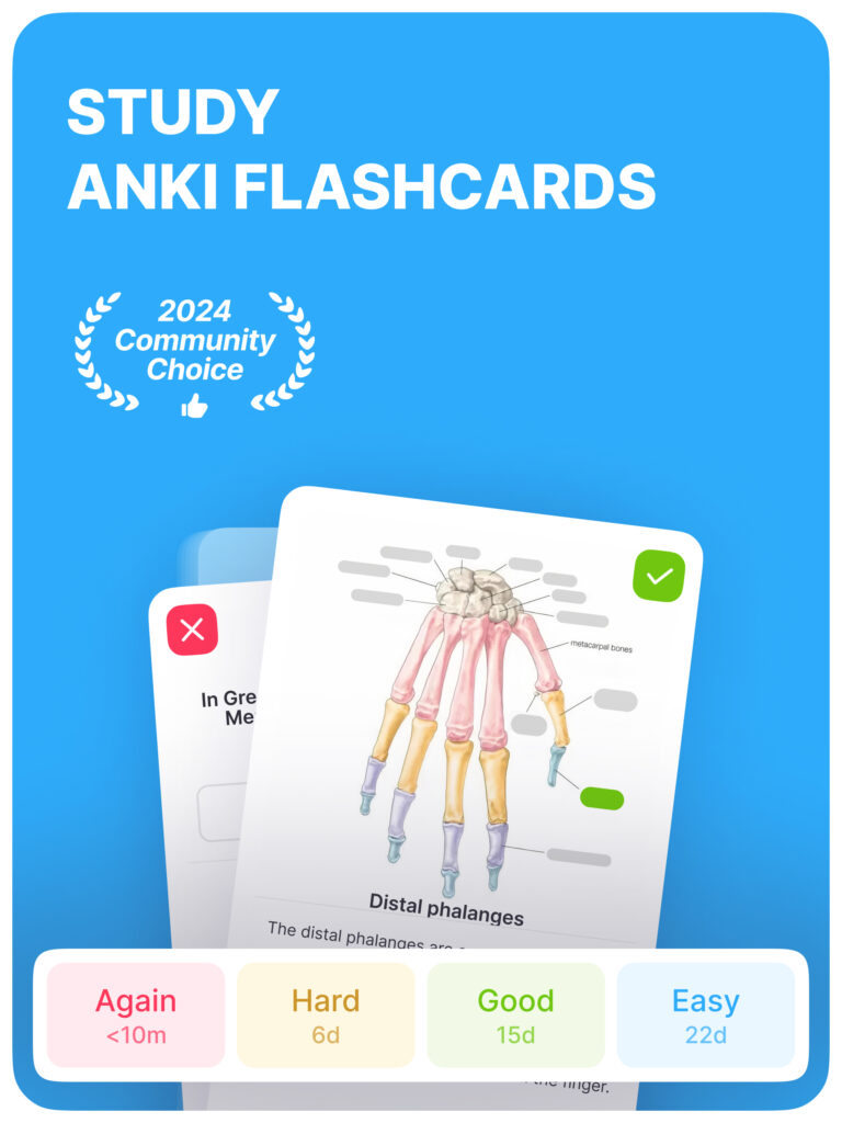 Download Anki Pro: Flashcards Learning APKs for Android - APKMirror