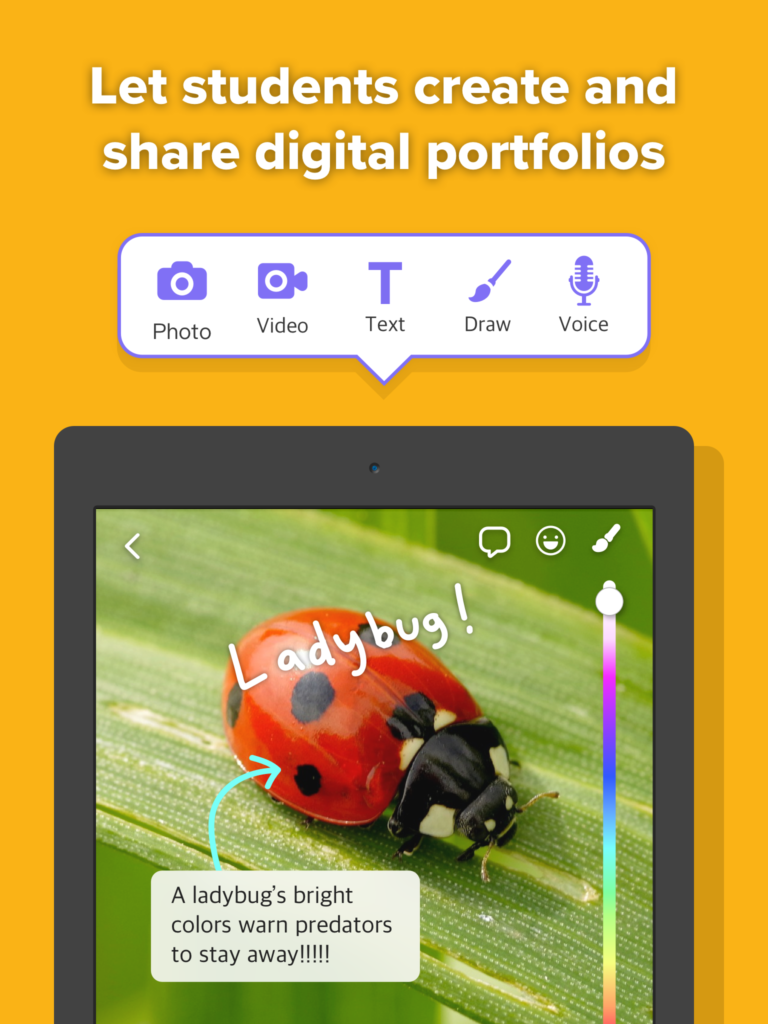 ClassDojo 8.12.0 APK Download by ClassDojo - APKMirror