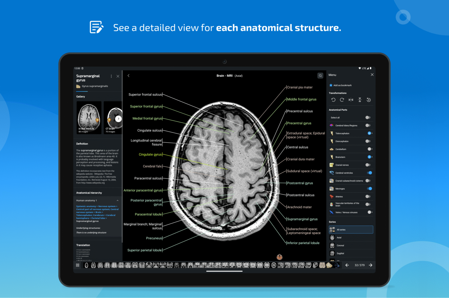 Download IMAIOS e-Anatomy APKs for Android - APKMirror
