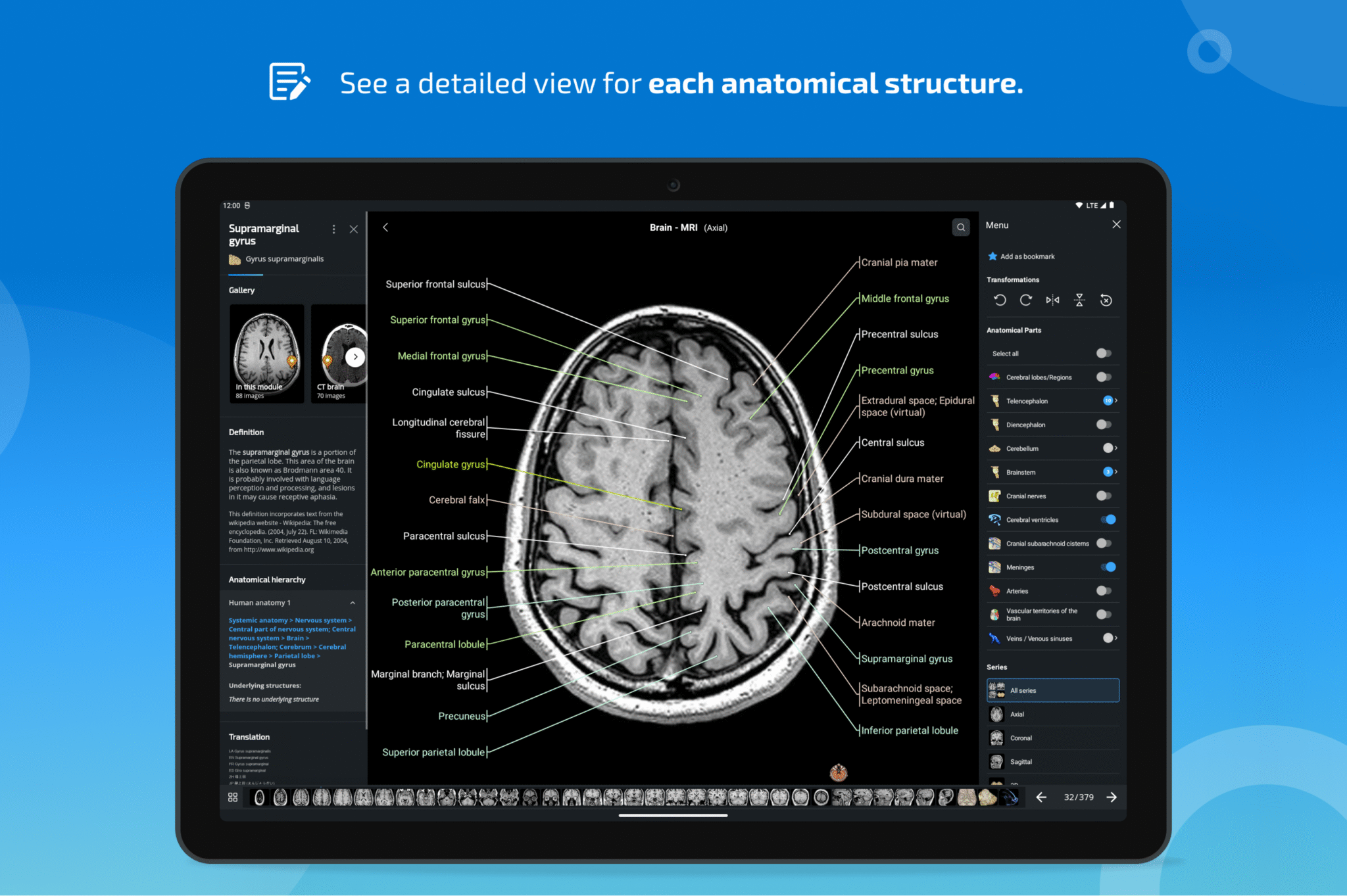 Download IMAIOS e-Anatomy APKs for Android - APKMirror
