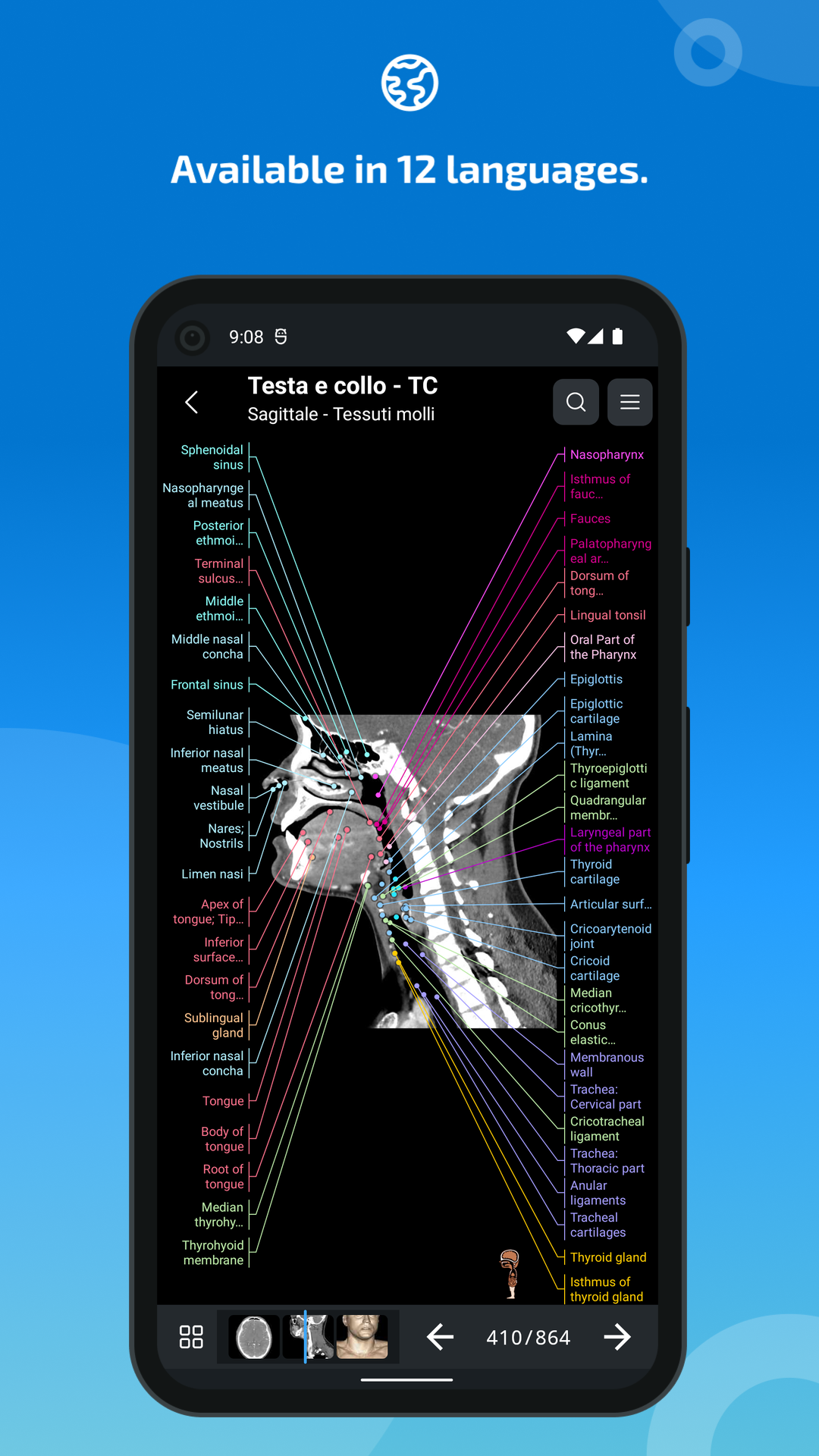 IMAIOS e-Anatomy 7.10.0 (120-640dpi) APK Download by IMAIOS SAS - APKMirror