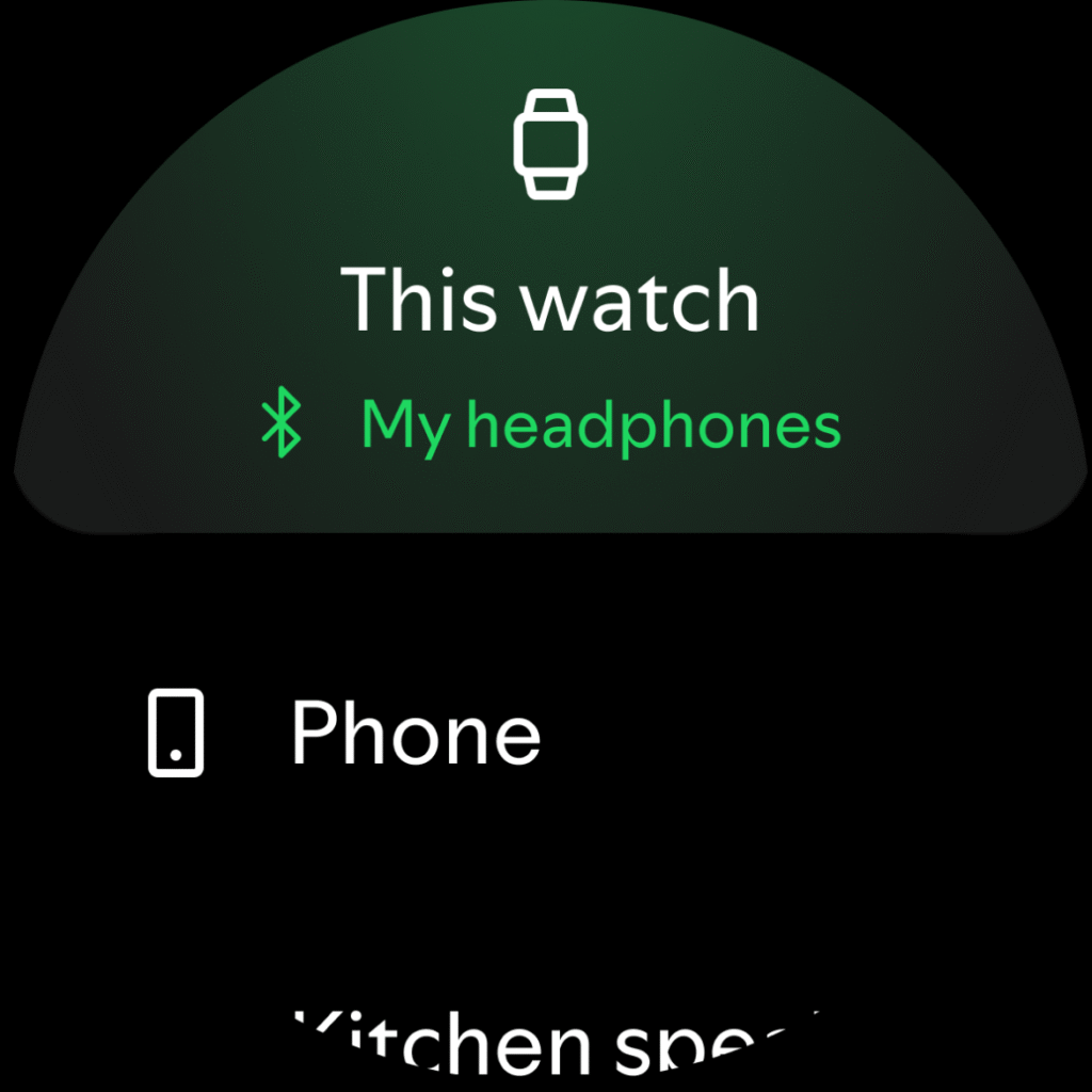 Spotify: Music and Podcasts 8.9.76.538 (arm64-v8a + x86) (160-640dpi ...