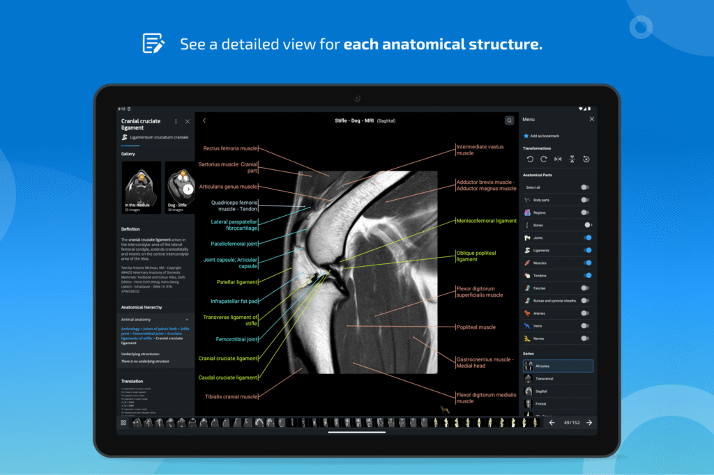 IMAIOS vet-Anatomy 5.2.0 APK Download by IMAIOS SAS - APKMirror