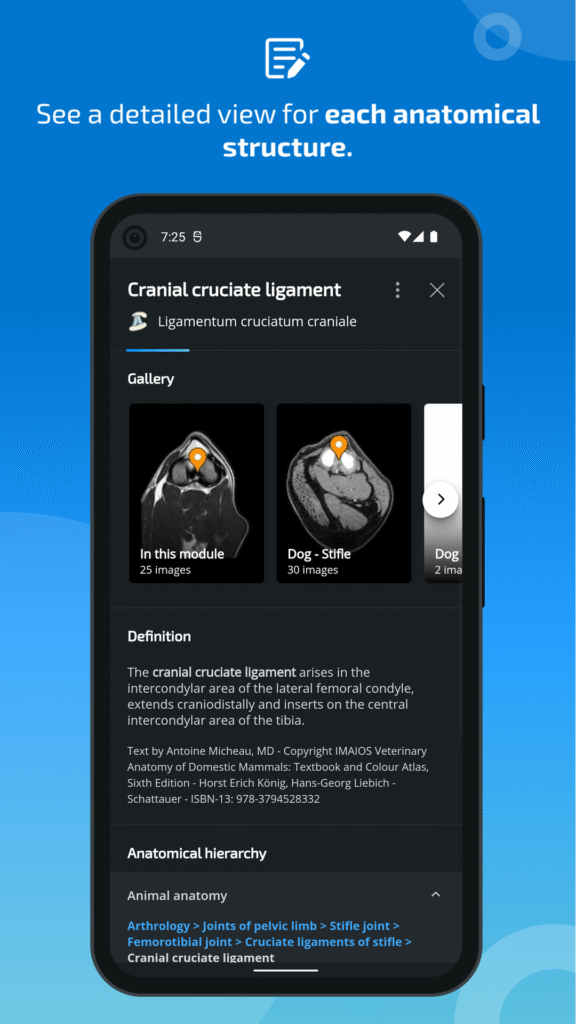 IMAIOS vet-Anatomy 4.10.2 APK Download by IMAIOS SAS - APKMirror