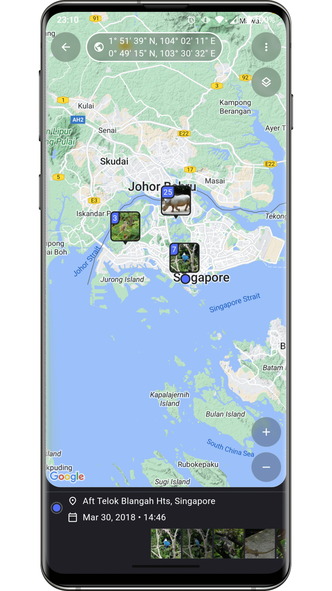 Download Aves Gallery APKs for Android - APKMirror