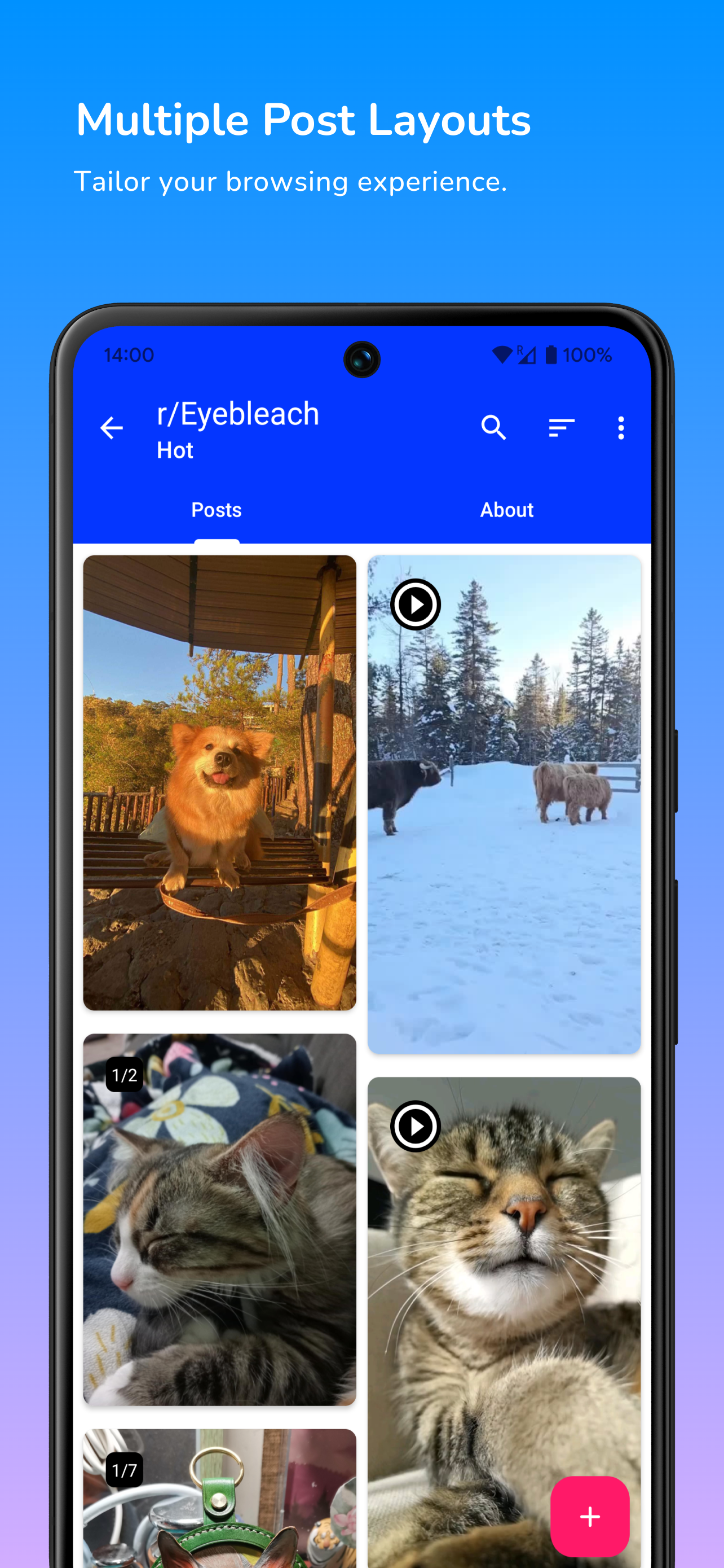 Infinity for Reddit+ 8.0.0 (nodpi) APK Download by Docile Alligator - APKMirror