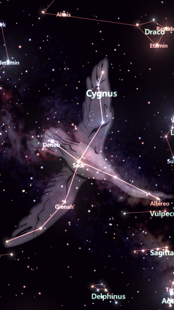 Star Tracker - Mobile Sky Map 1.6.109 APK Download by PYOPYO Studio ...