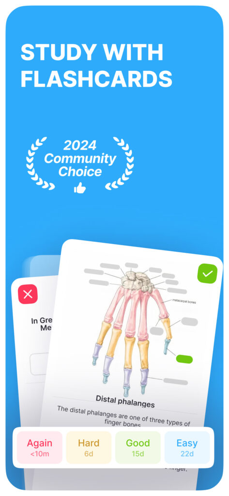 Noji – Flashcards study app 2.13.0 (120-640dpi) APK Download by ...