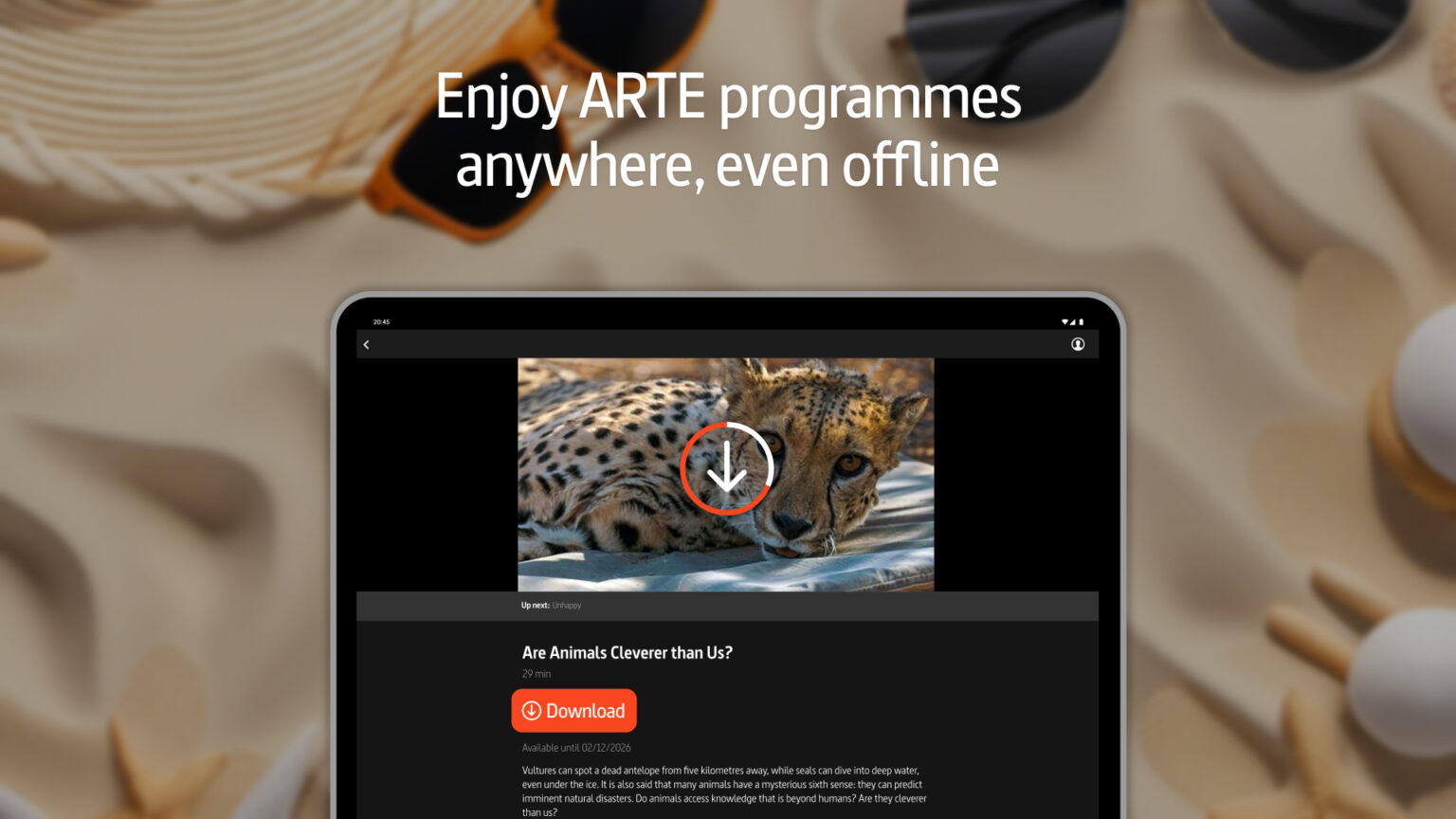 ARTE (Android TV) 3.11 APK Download by ARTE - APKMirror