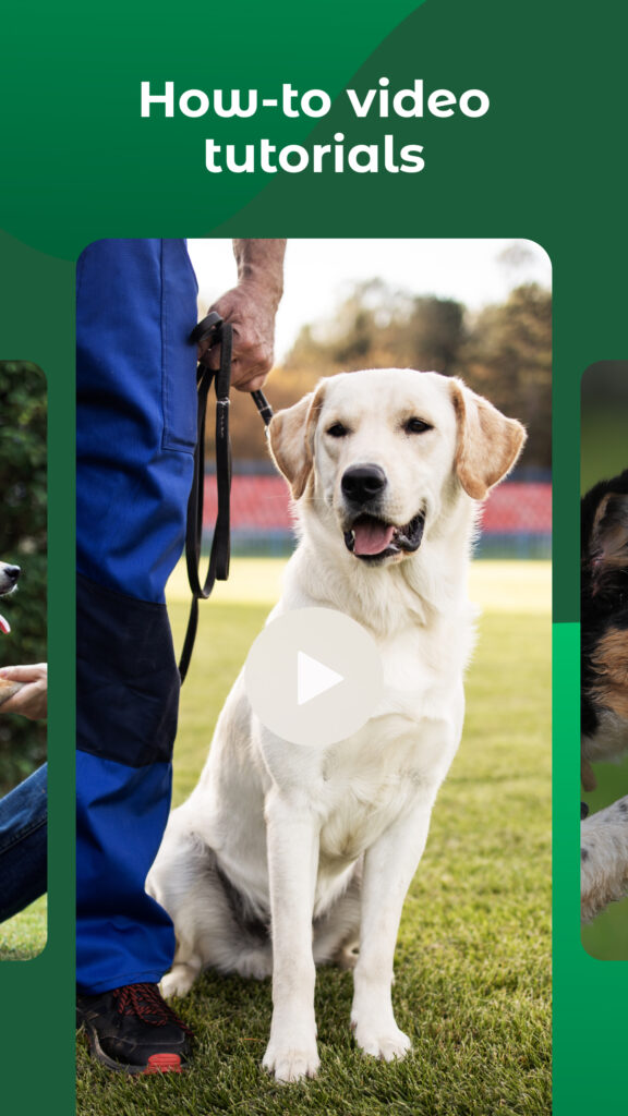 Dogo — Puppy and Dog Training 10.43.0 APK Download by Dogo - APKMirror