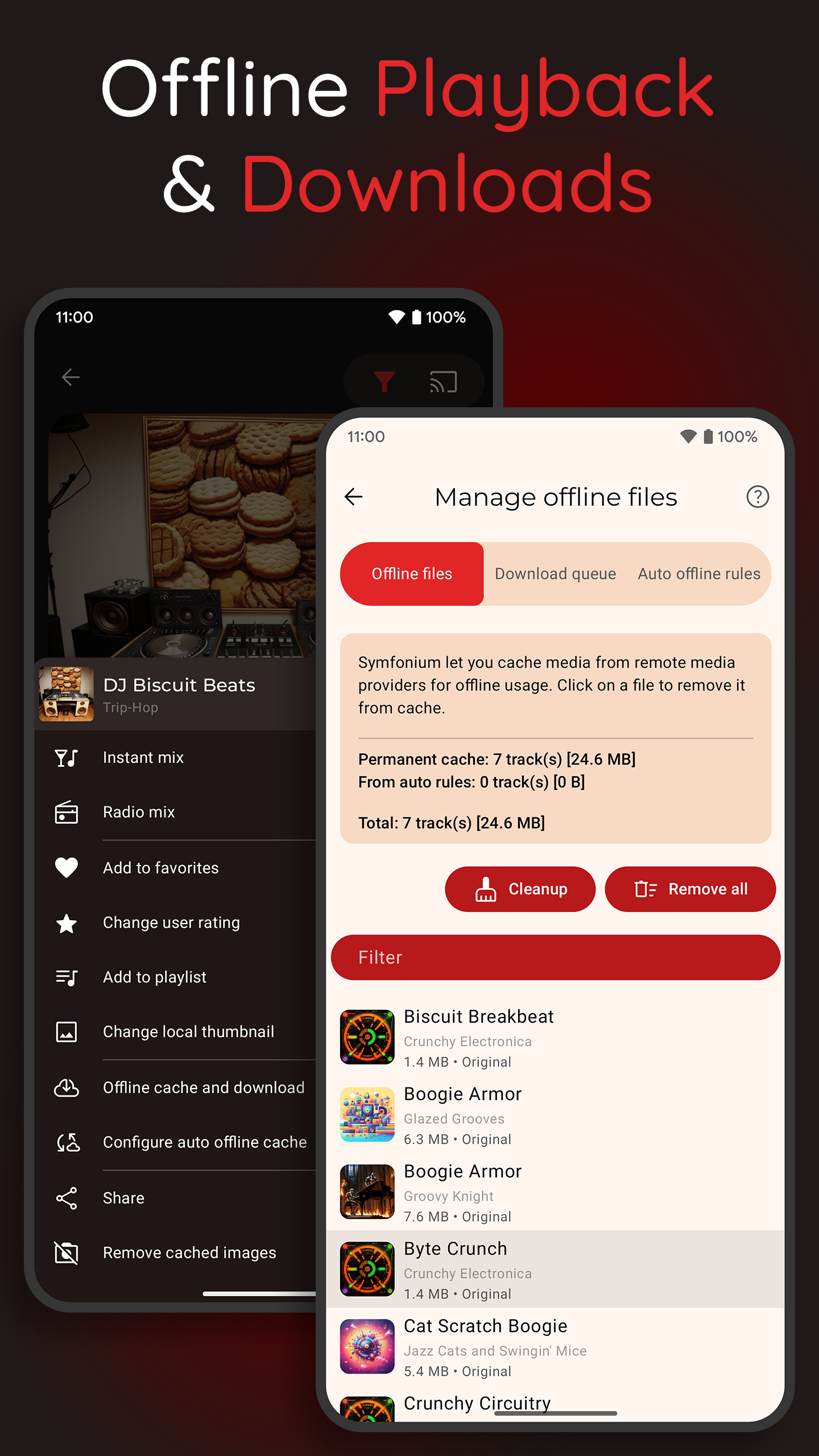 Symfonium: Music player & cast 13.5.0 (Android 9.0+) APK Download by ...