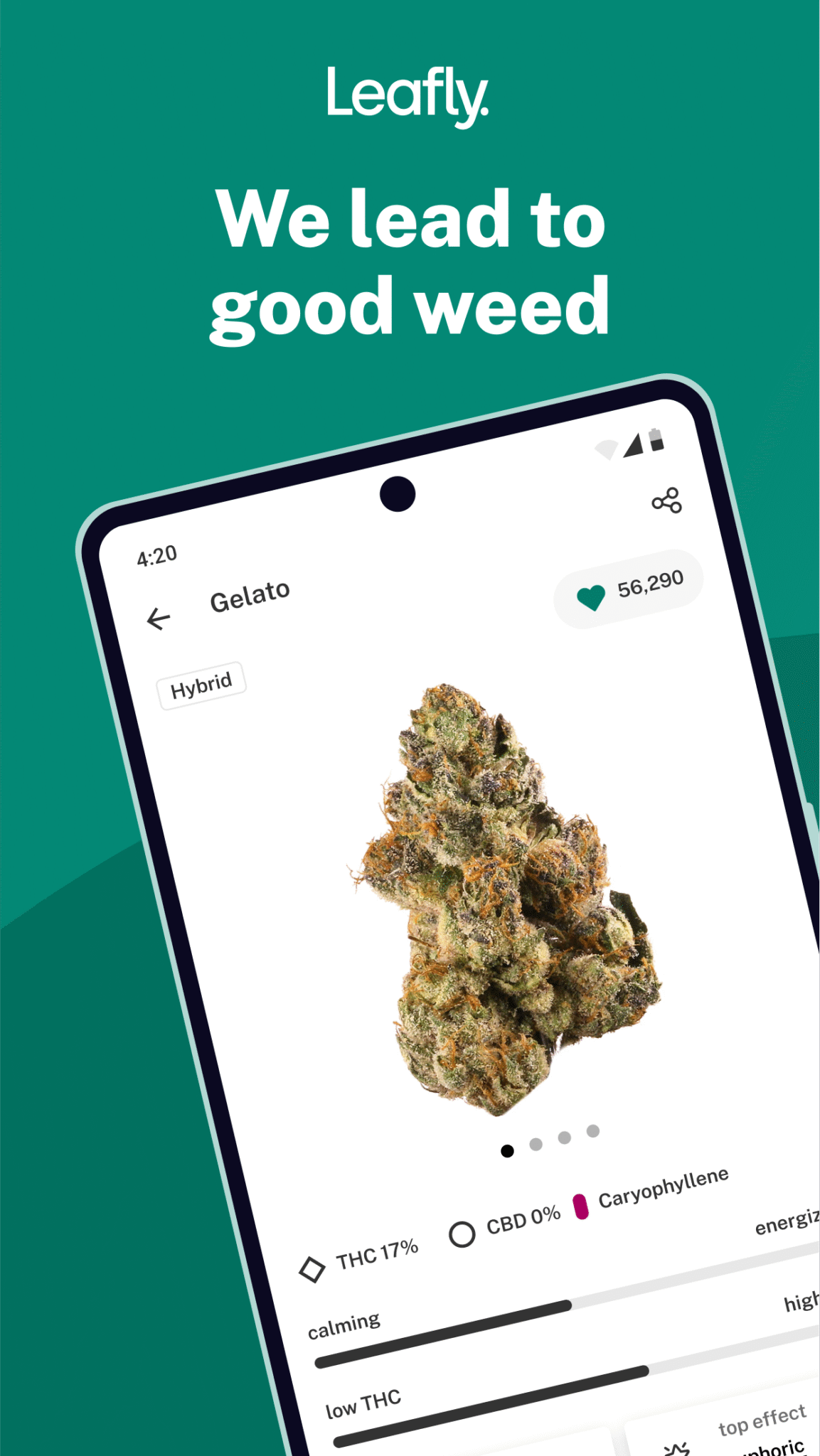 Leafly: Find Cannabis and CBD 8.12.7 APK Download by Leafly Holdings ...