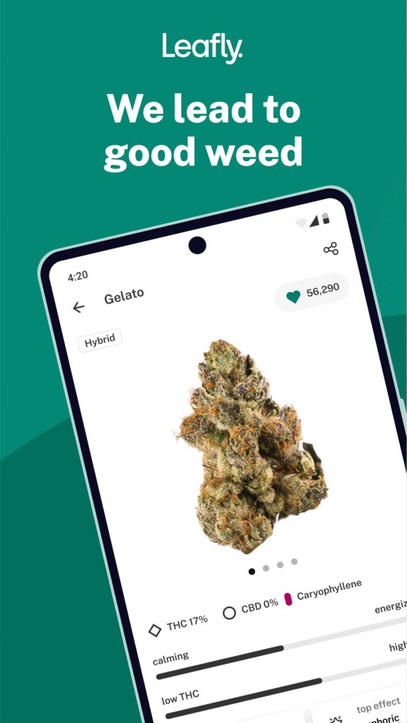 Leafly: Find Cannabis and CBD 8.13.2 APK Download by Leafly Holdings ...