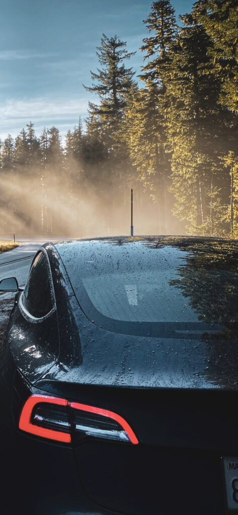 Tessie — Track your Tesla 16.0.16 APK Download by Tessie - APKMirror