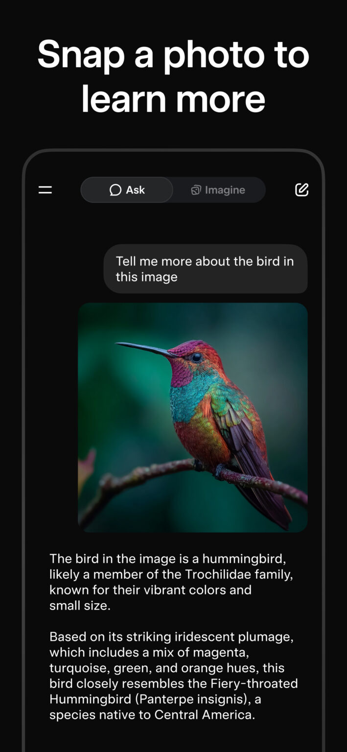 Grok • Smartest AI Advisor 1.1.06-release.01 APK Download by xAI ...