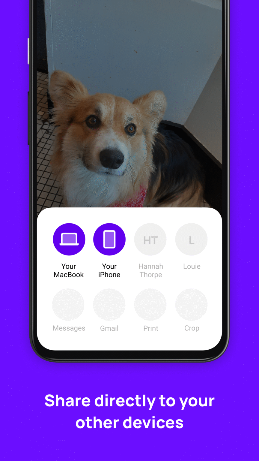 Blip (File Transfer) 1.1.13 APK Download by Blip.net - APKMirror