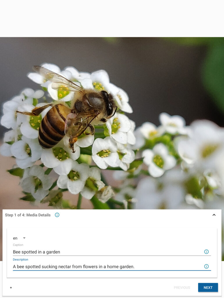 Wikimedia Commons 6.2.0 APK Download by Wikimedia Foundation - APKMirror