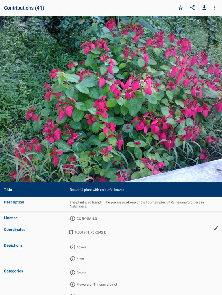 Wikimedia Commons 6.2.0 APK Download by Wikimedia Foundation - APKMirror