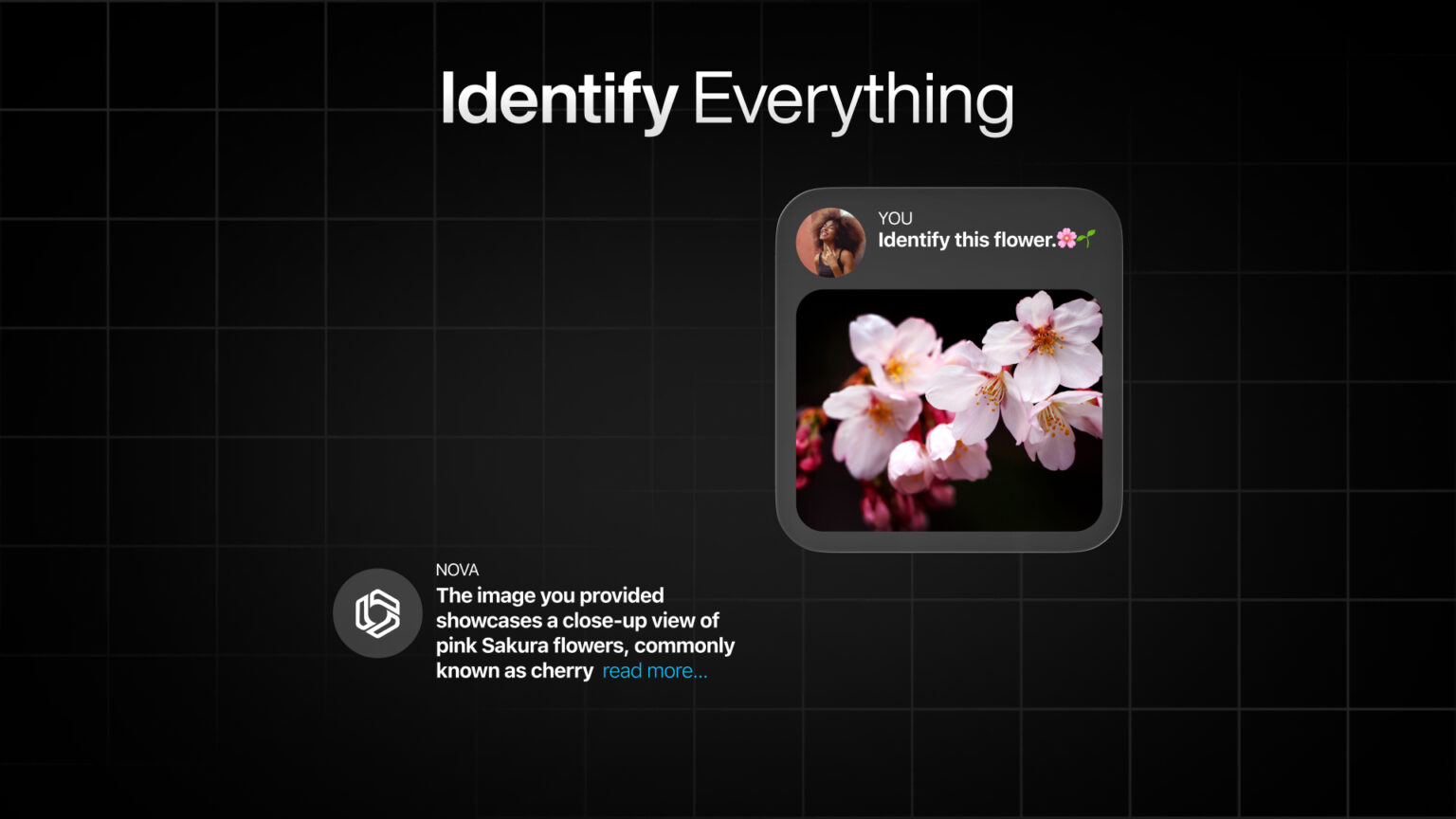 AI Chatbot - Nova 4.0.11 (120-640dpi) APK Download by ScaleUp - APKMirror