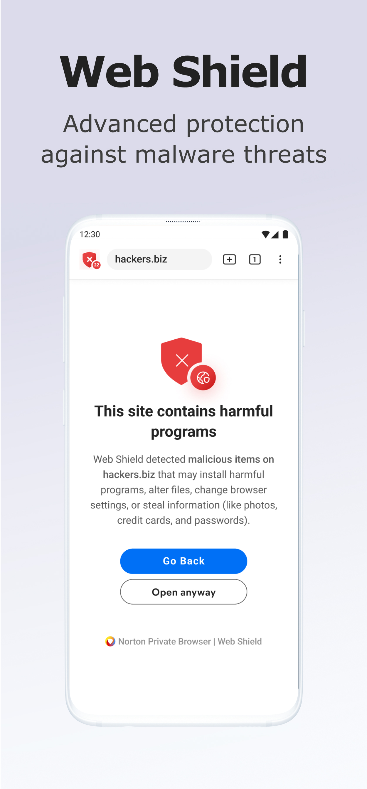 Norton Private Browser 8.16.0 (arm64-v8a + arm-v7a) (Android 10+) APK ...