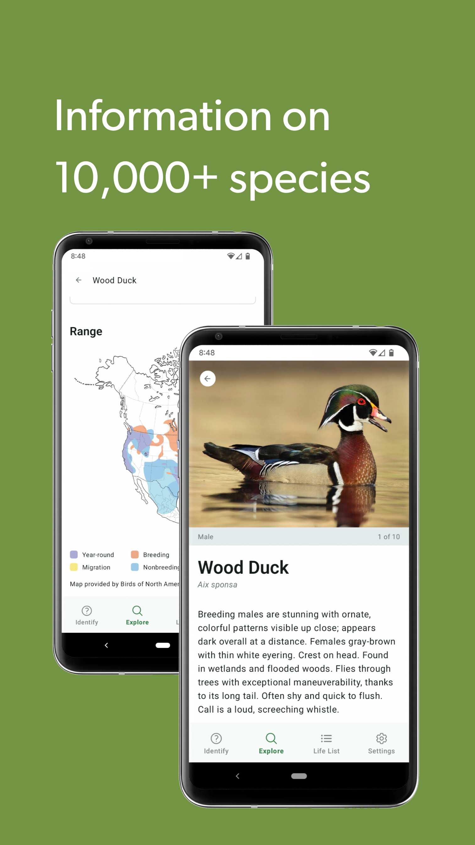 Merlin Bird ID by Cornell Lab 3.11 APK Download by Cornell Lab of ...