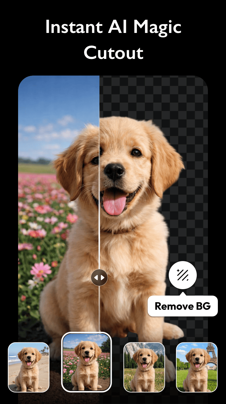 AI Photo Editor - Polish 1.491.159 APK Download by InShot Inc. - APKMirror