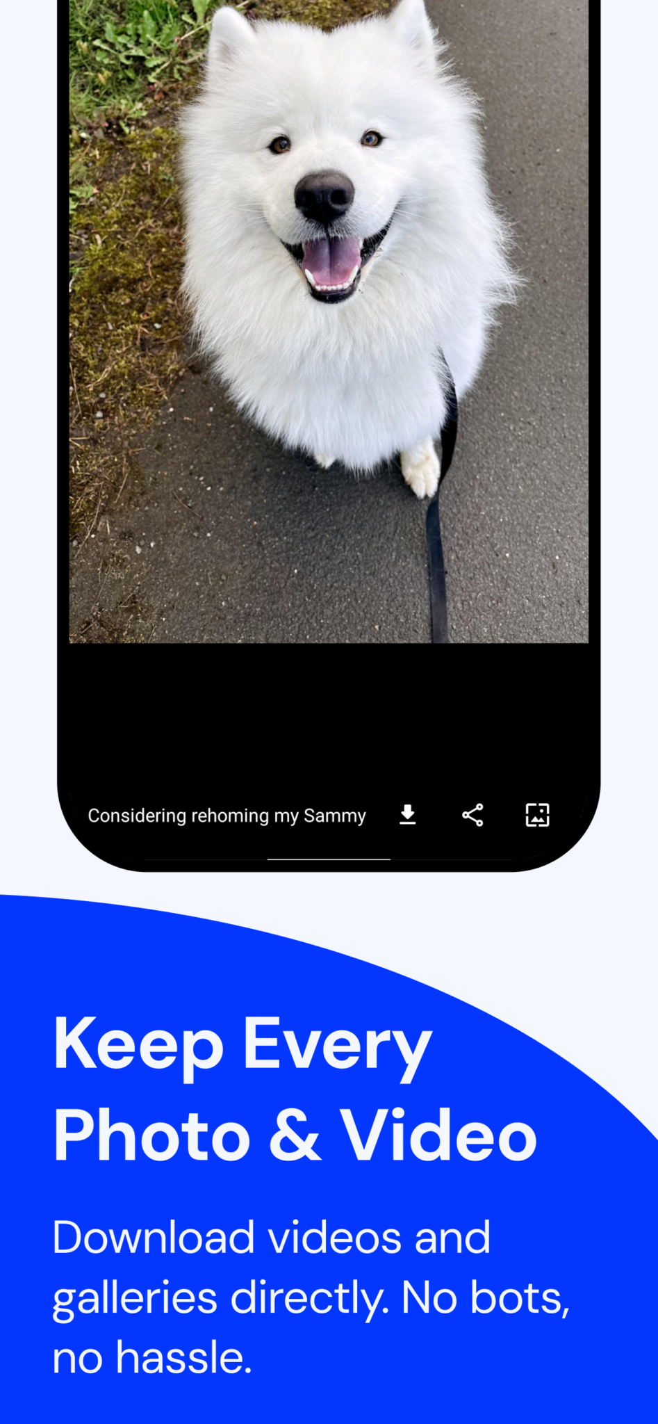 Infinity for Reddit+ 8.2.2 APK Download by Docile Alligator - APKMirror